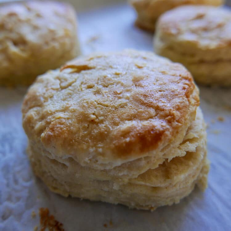 Buttermilk Maple Biscuits - Gastronotherapy