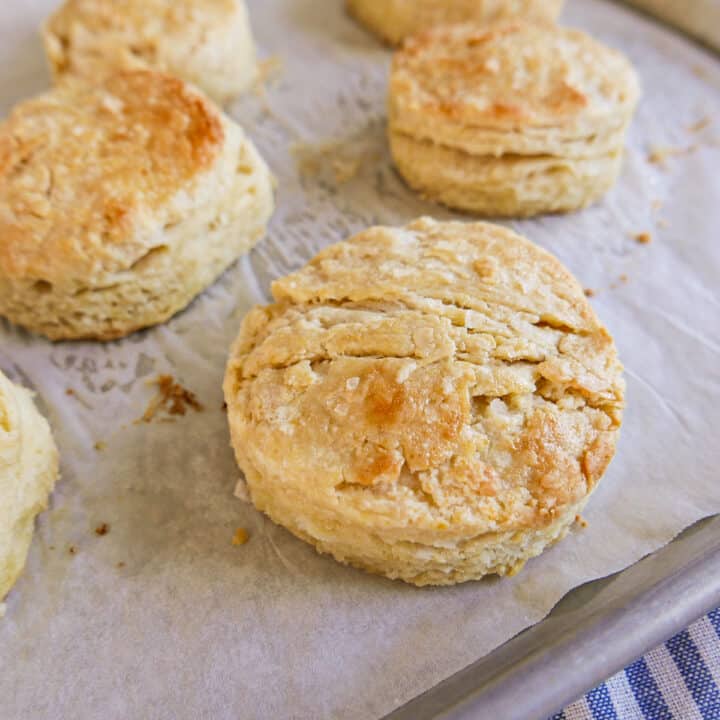 Buttermilk Maple Biscuits - Gastronotherapy
